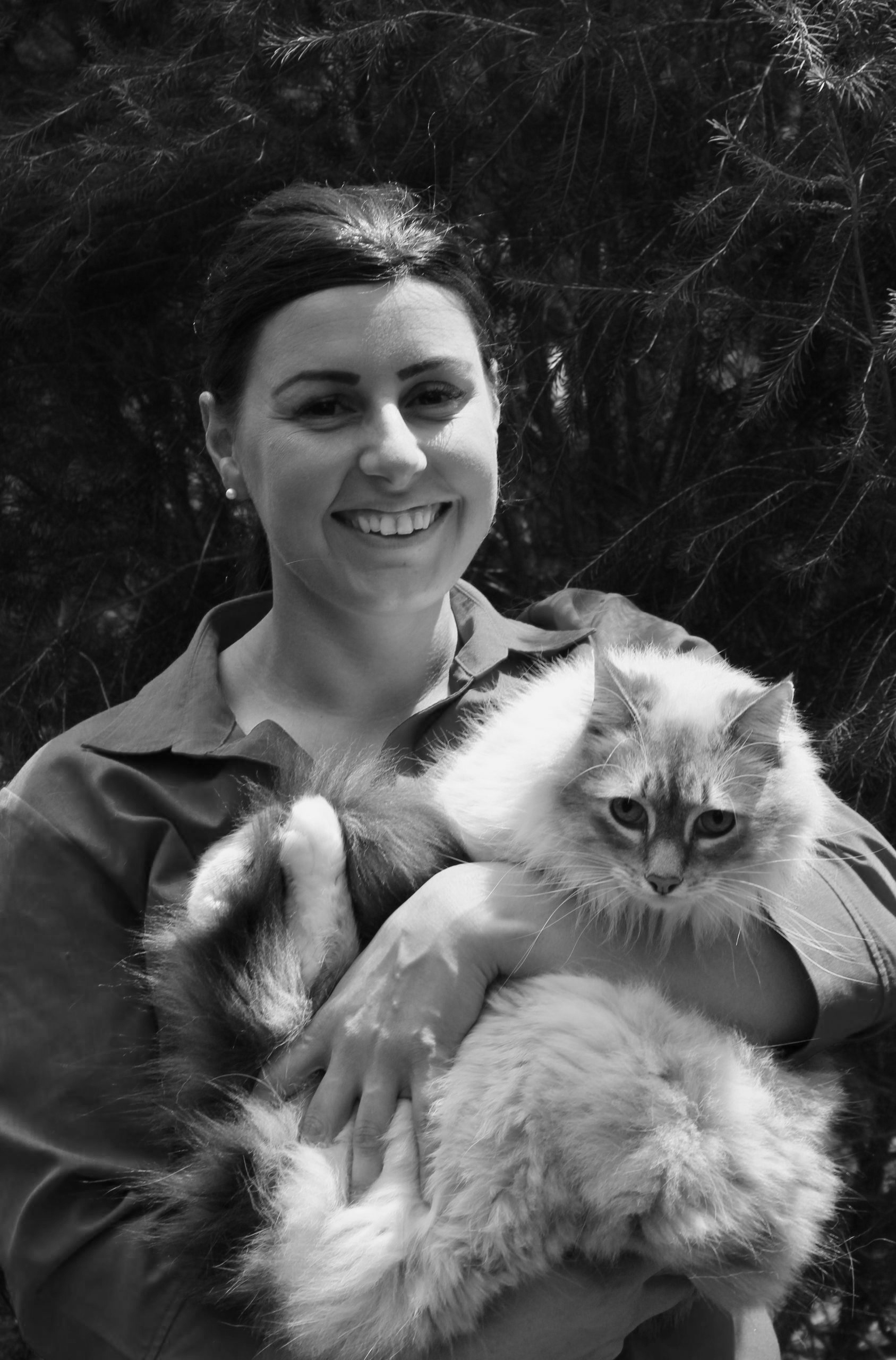 About Us - Diamond Valley Vets