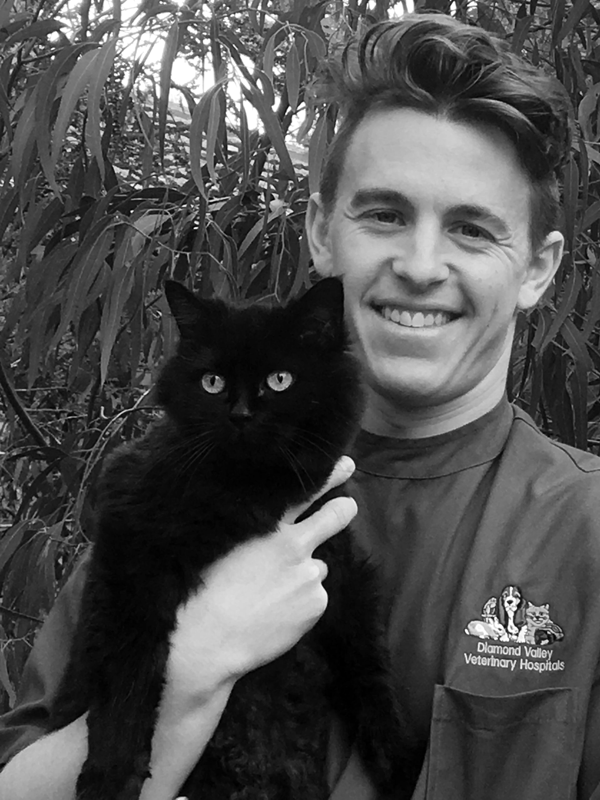 About Us - Diamond Valley Vets