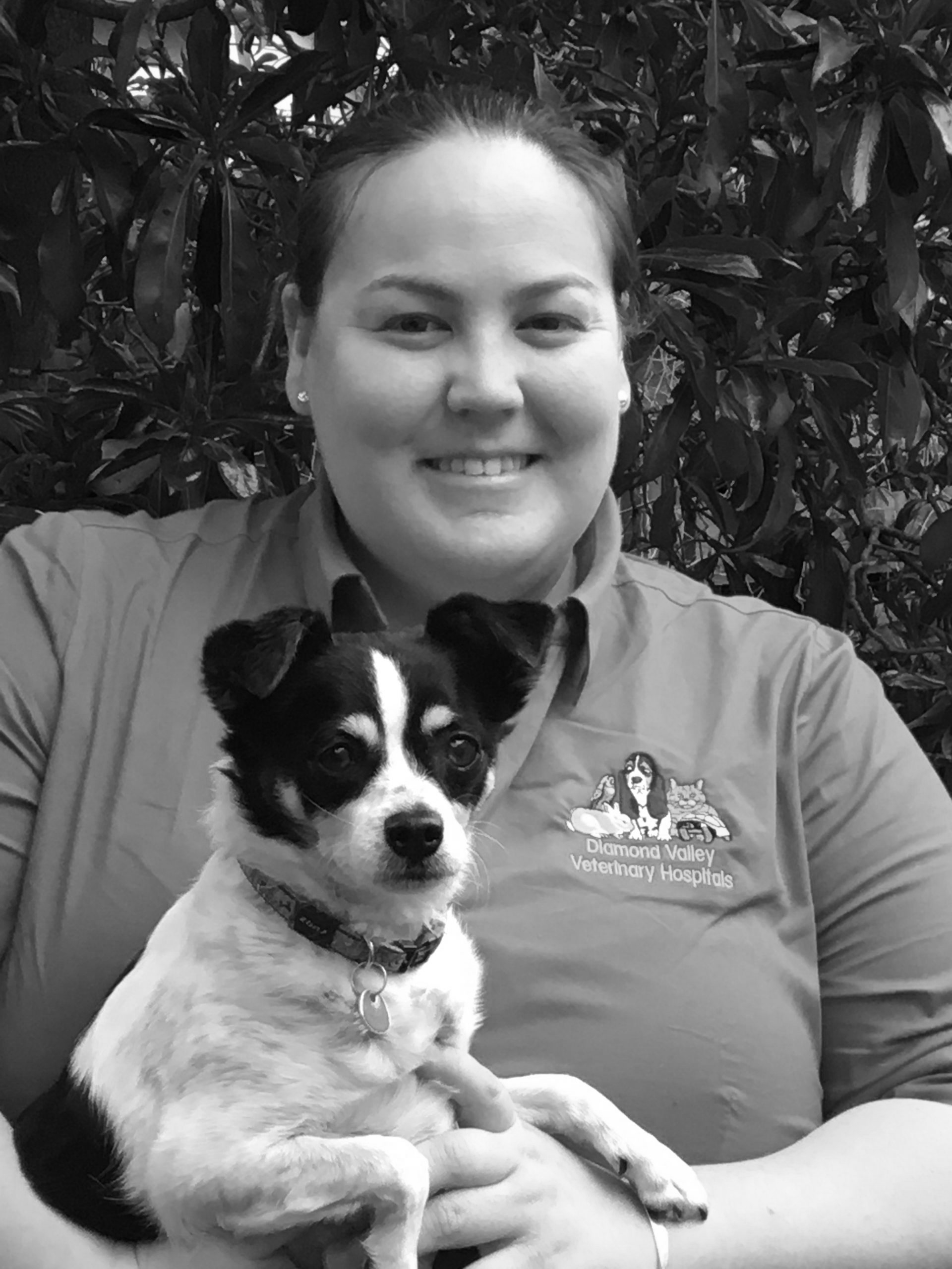 About Us - Diamond Valley Vets